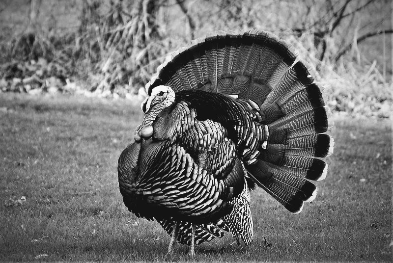 Vraag je om advies of om toestemming? - Annemarie Mars