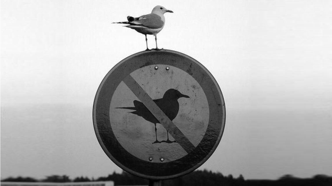 Wat is de no go-area in het gesprek over gedrag? - Annemarie Mars